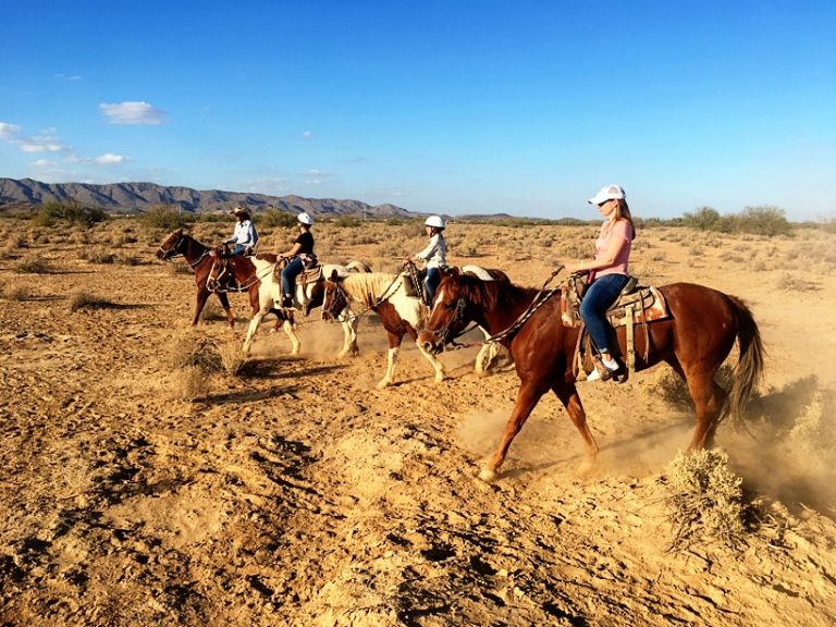 Corporate & Special Events - KOLI Equestrian Center | Phoenix Horseback ...