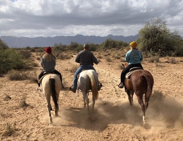 The Perfect Family Outing Awaits – Horseback Riding Adventures for ...